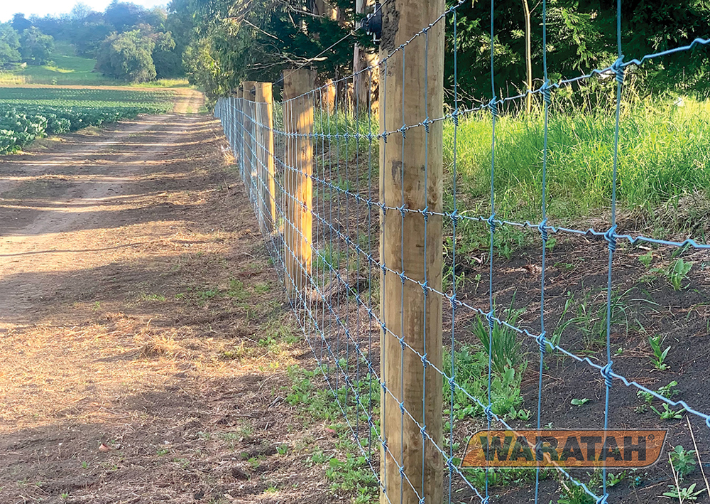 Stockgrip Longlife | Prefabricated Wire | Waratah Fencing