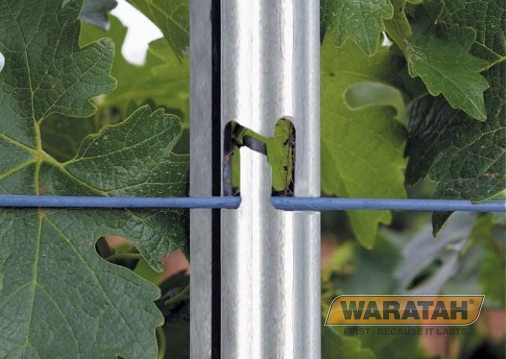 Gripfast Trellis Post | Australian Made | Waratah Fencing | metal ...